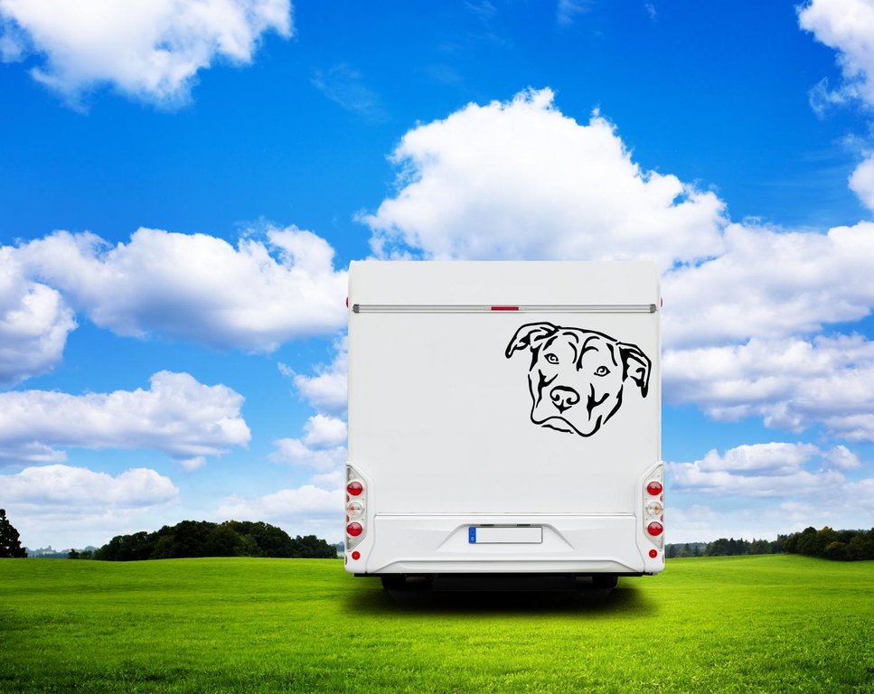 American Staffordshire Terrier Kopf Auto Wohnmobil Aufkleber l Wandtat